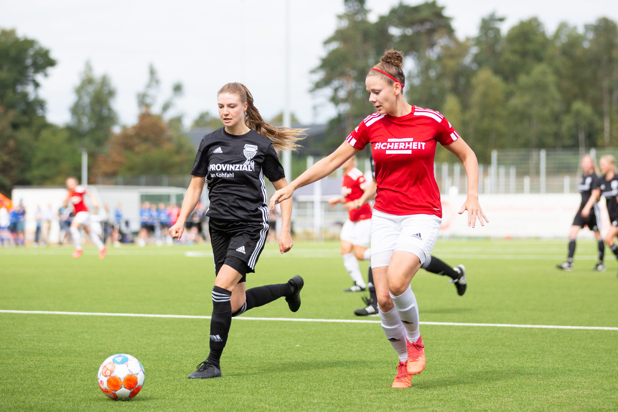 Frauen, Juniorinnen und Junioren: Einteilung der Staffeln für 2024/25 ...